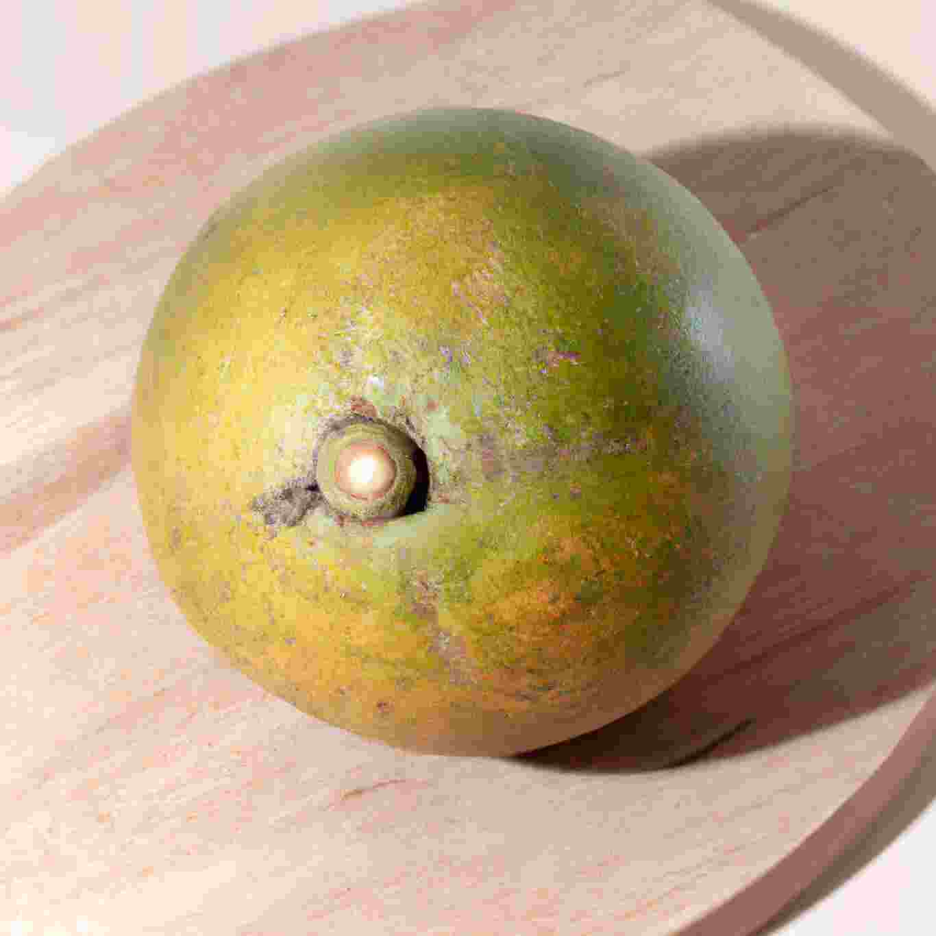 Huito - Plant-based Ingredient Index - Chakra Vegan Restaurant - NYC