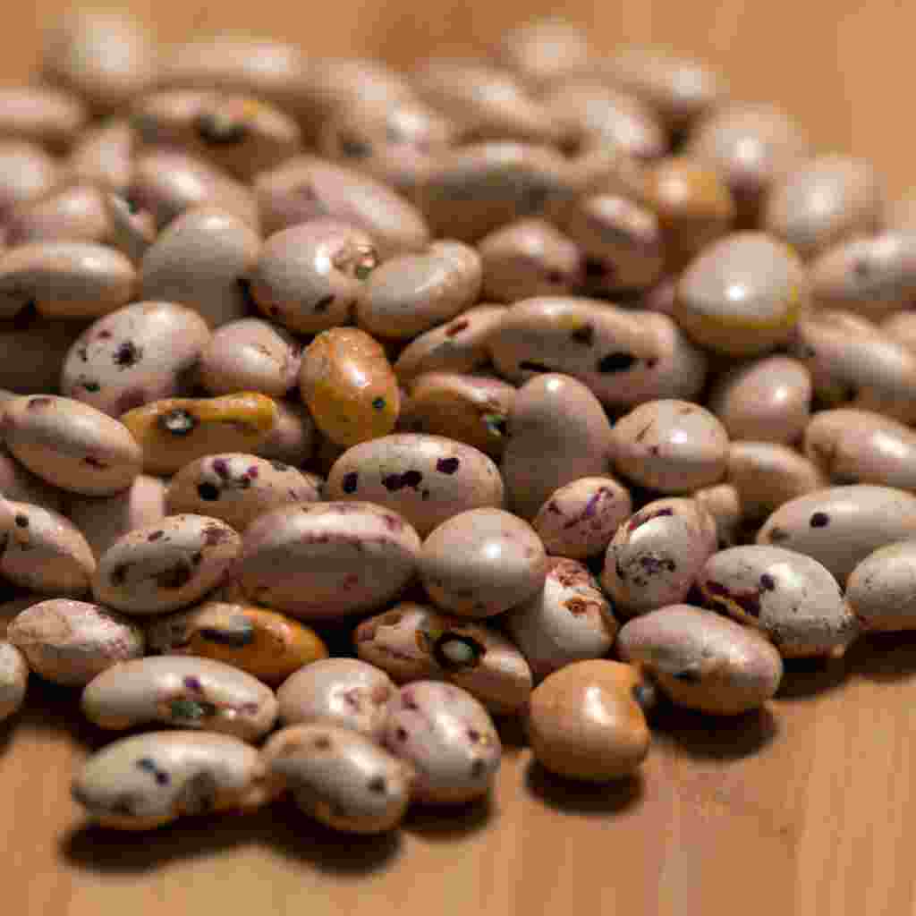 Pinto Bean - Plant-based Ingredient Index - Chakra Vegan Restaurant - NYC