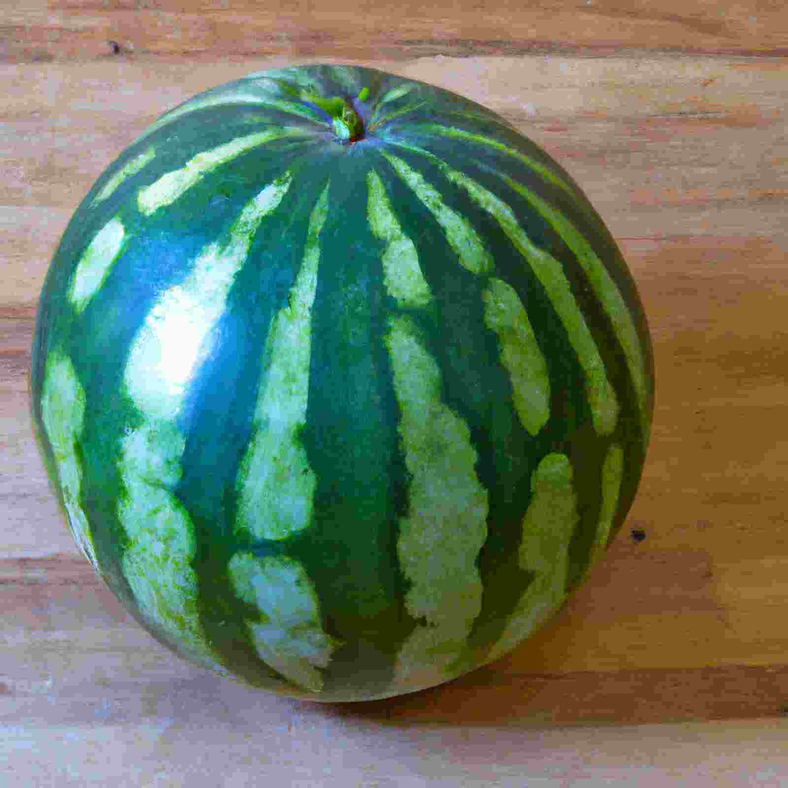 Watermelon - Plant-based Ingredient Index - Chakra Vegan Restaurant - NYC