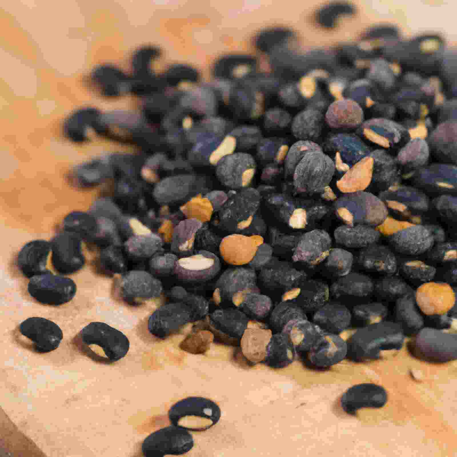 Black Gram - Plant-based Ingredient Index - Chakra Vegan Restaurant - NYC