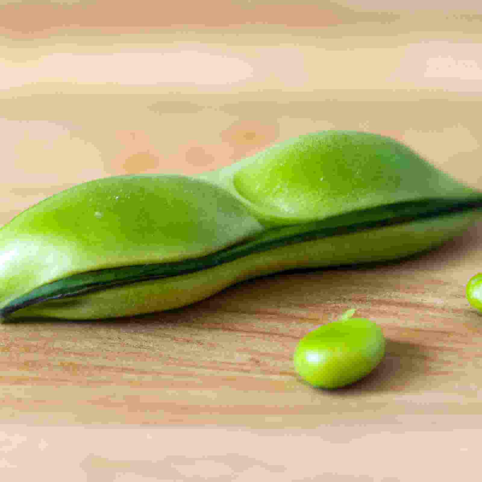 Broad Bean - Plant-based Ingredient Index - Chakra Vegan Restaurant - NYC