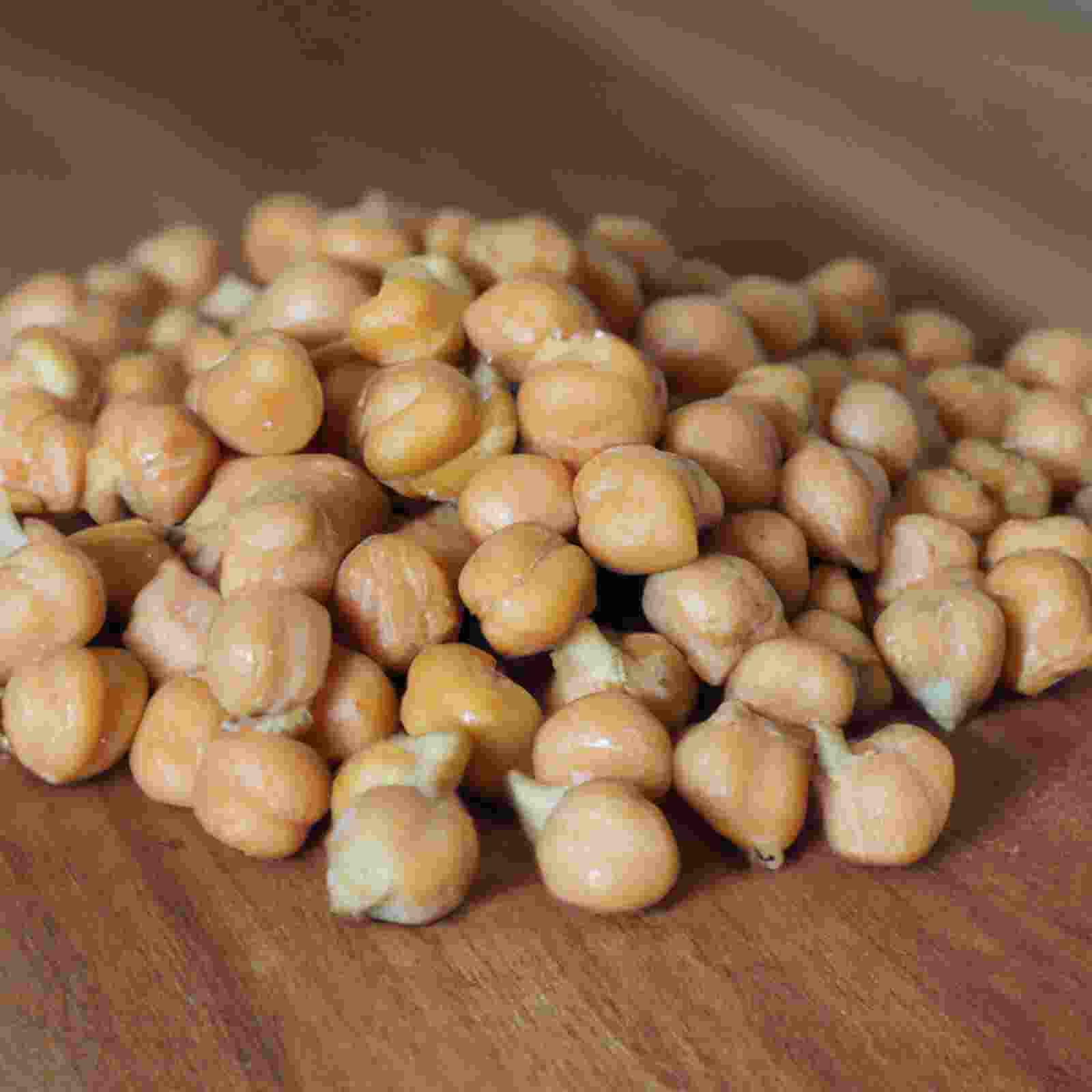 Garbanzo Bean - Plant-based Ingredient Index - Chakra Vegan Restaurant ...