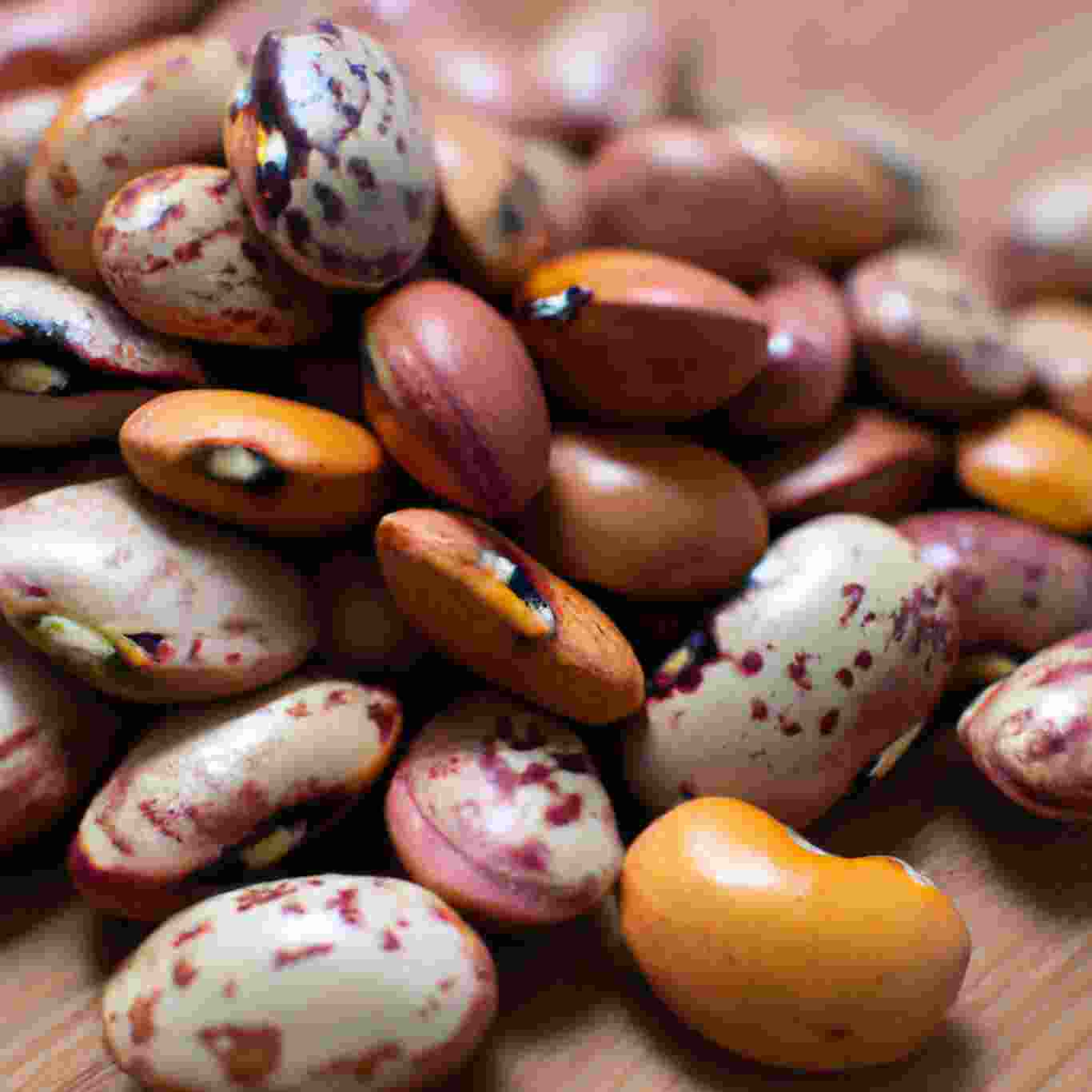 Gigante Bean - Plant-based Ingredient Index - Chakra Vegan Restaurant - NYC