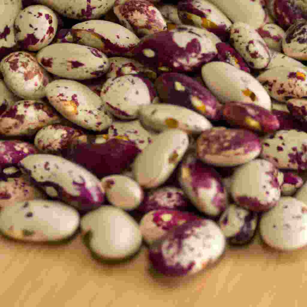 Kidney Bean - Plant-based Ingredient Index - Chakra Vegan Restaurant - NYC