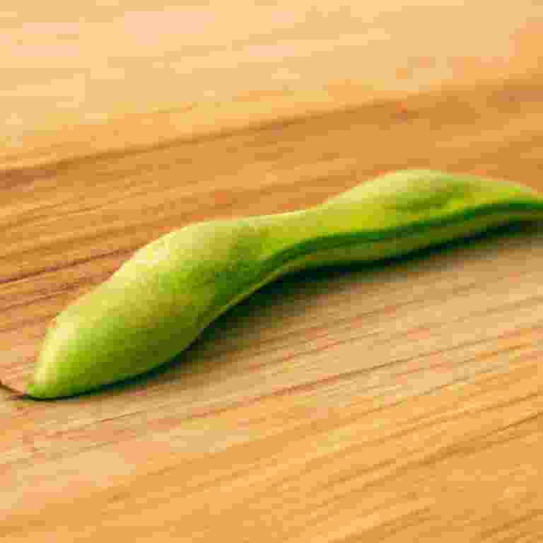 Lima Bean - Plant-based Ingredient Index - Chakra Vegan Restaurant - NYC