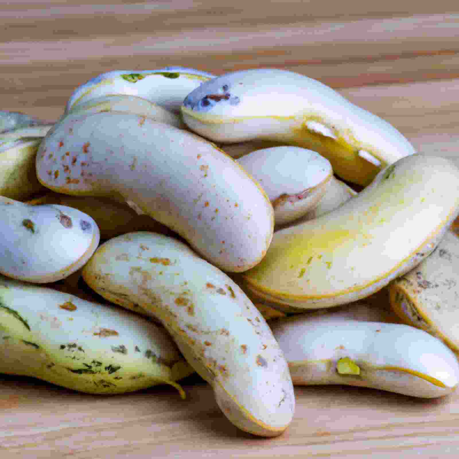 Potato Bean - Plant-based Ingredient Index - Chakra Vegan Restaurant - NYC