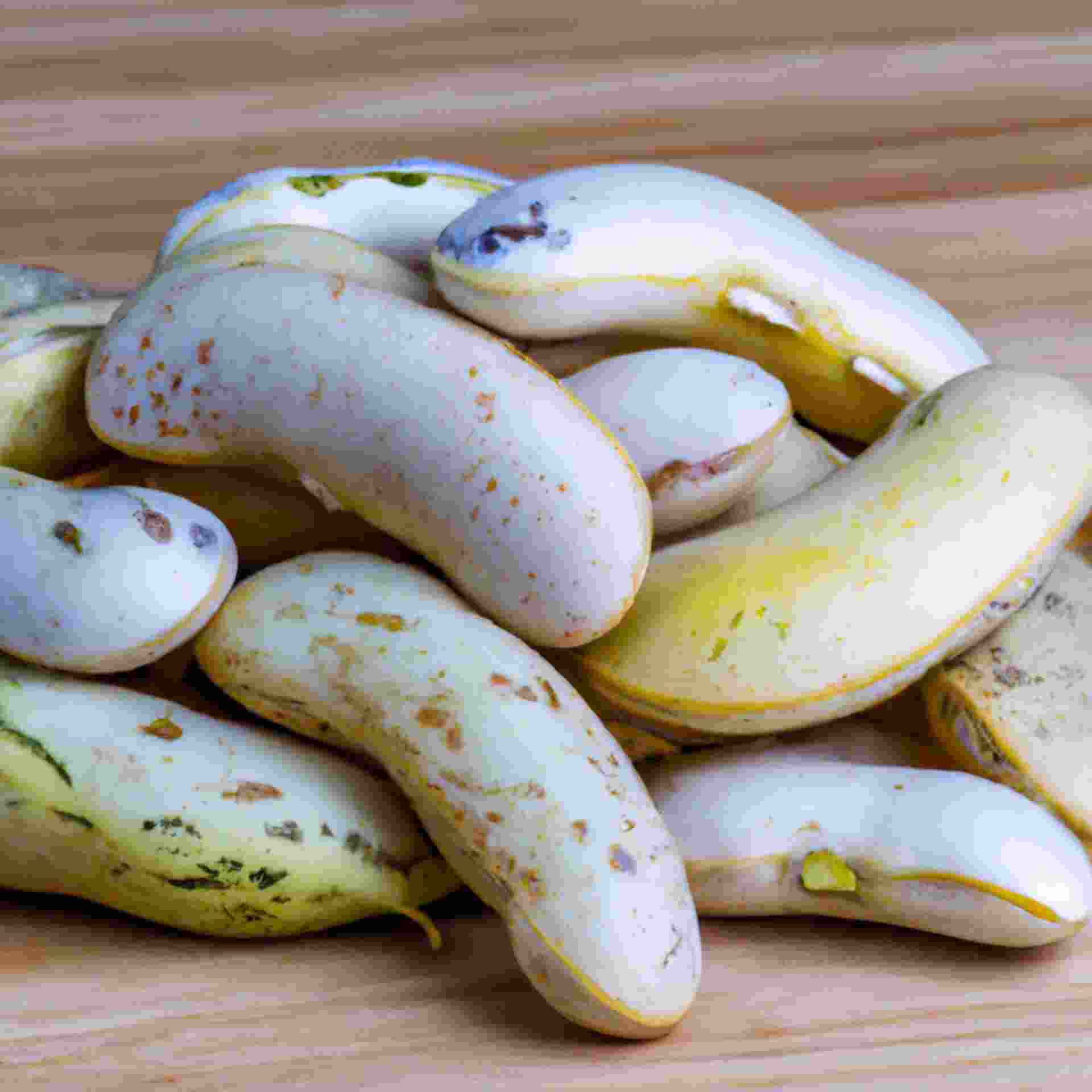 Potato Bean - Plant-based Ingredient Index - Chakra Vegan Restaurant - NYC