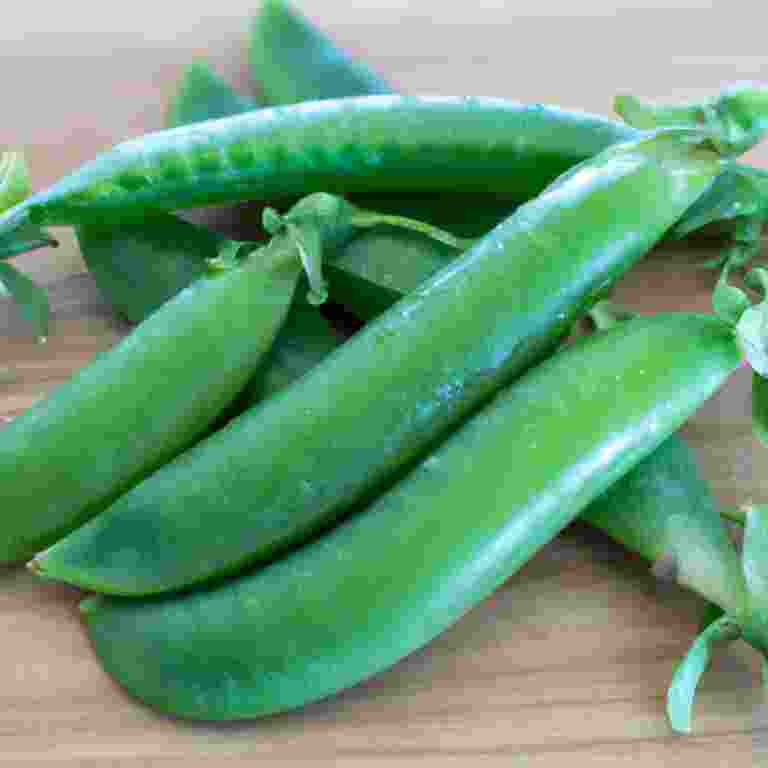 Snap Peas - Plant-based Ingredient Index - Chakra Vegan Restaurant - NYC