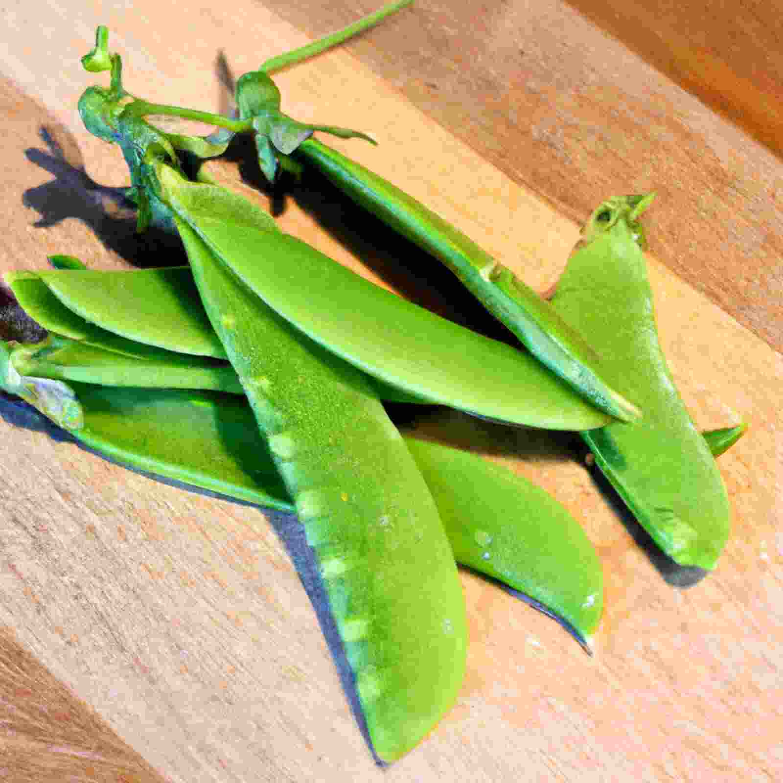 Snow Peas - Plant-based Ingredient Index - Chakra Vegan Restaurant - NYC