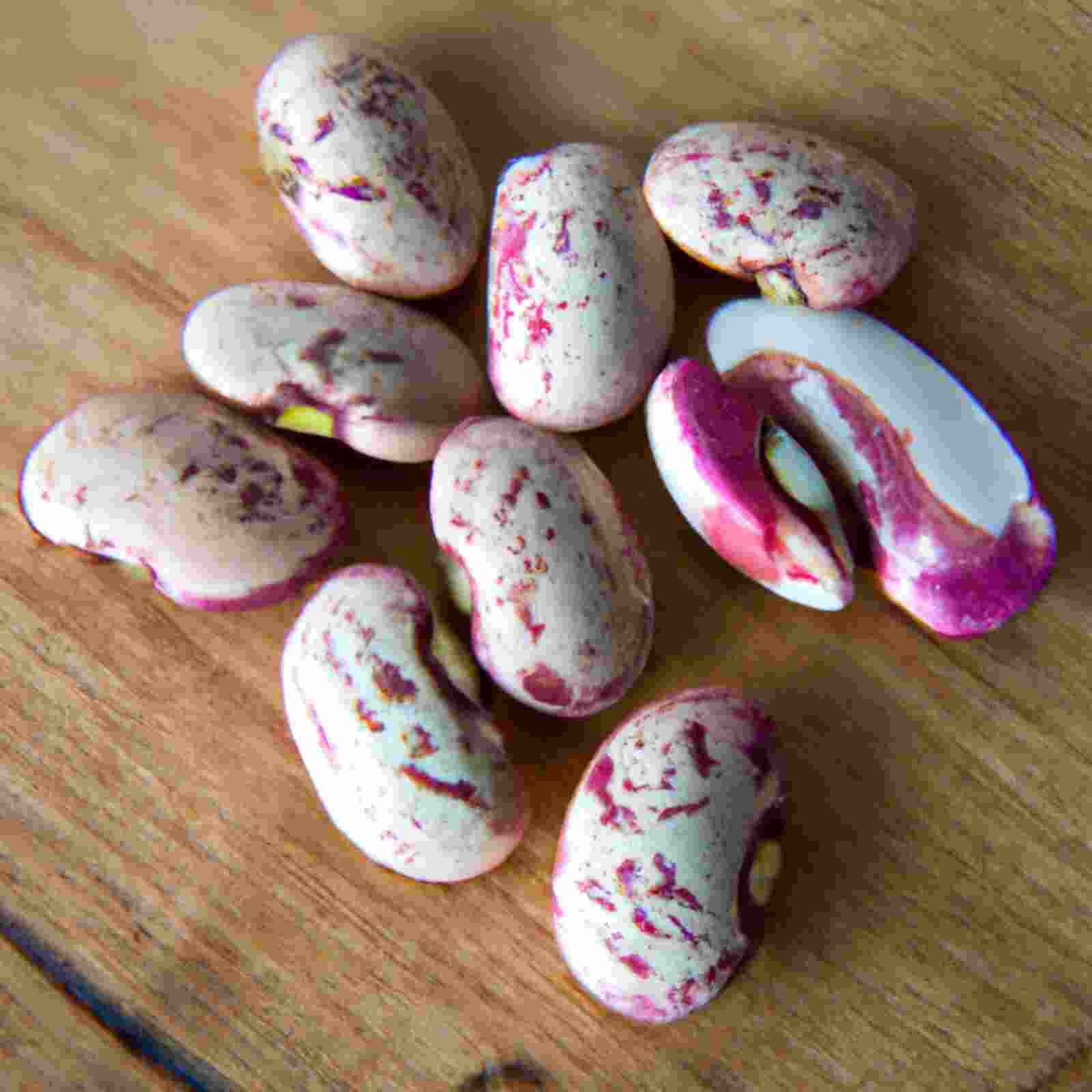 Jain Diet - Jainism - plant-based vegan food - Chakra Restaurant NYC