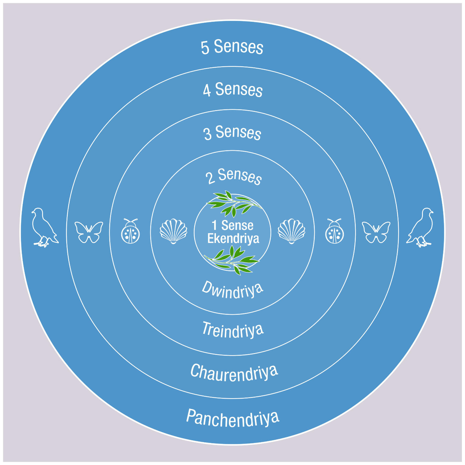Jain Diet - Jainism - plant-based vegan food - Chakra Restaurant NYC